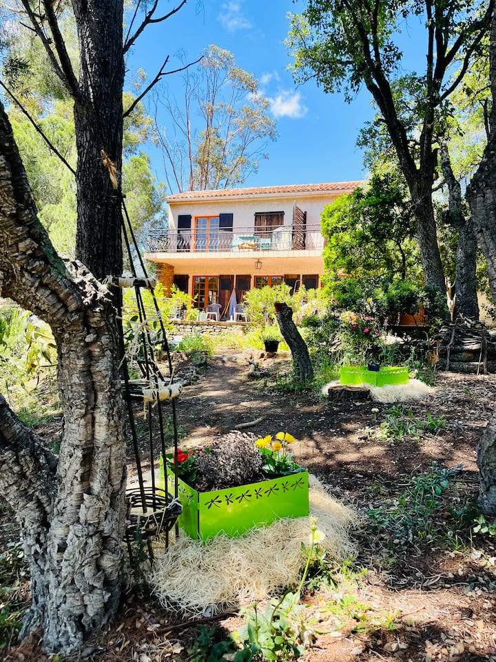 Location Maison à 150m De La Plage, 1200m² Jardin - Cavalaire-sur-Mer