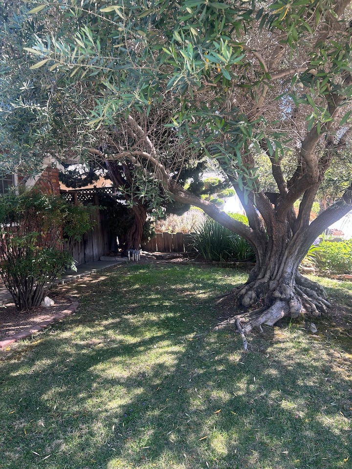 Mountain View’s 2 Bed Duplex - Mountain View, CA