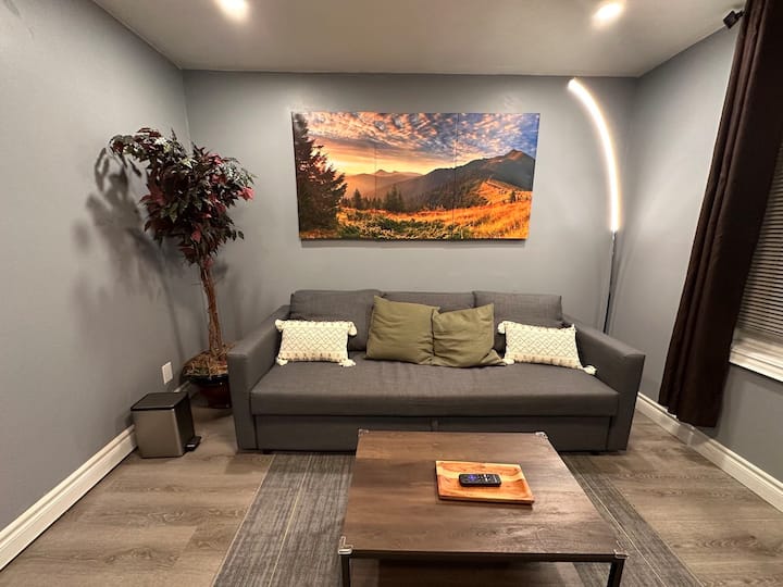 Walk To Parliament Entire Unit W/freeparking - Ottawa