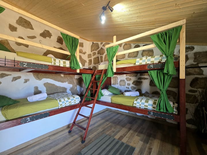 Shared Room With 4 Beds - Tejeda