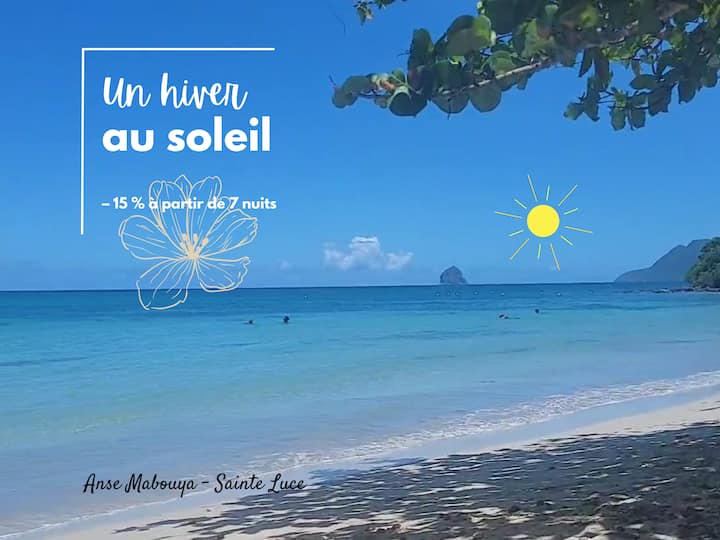 Escapade Créole / Piscine & Jardin Privés - Martinique