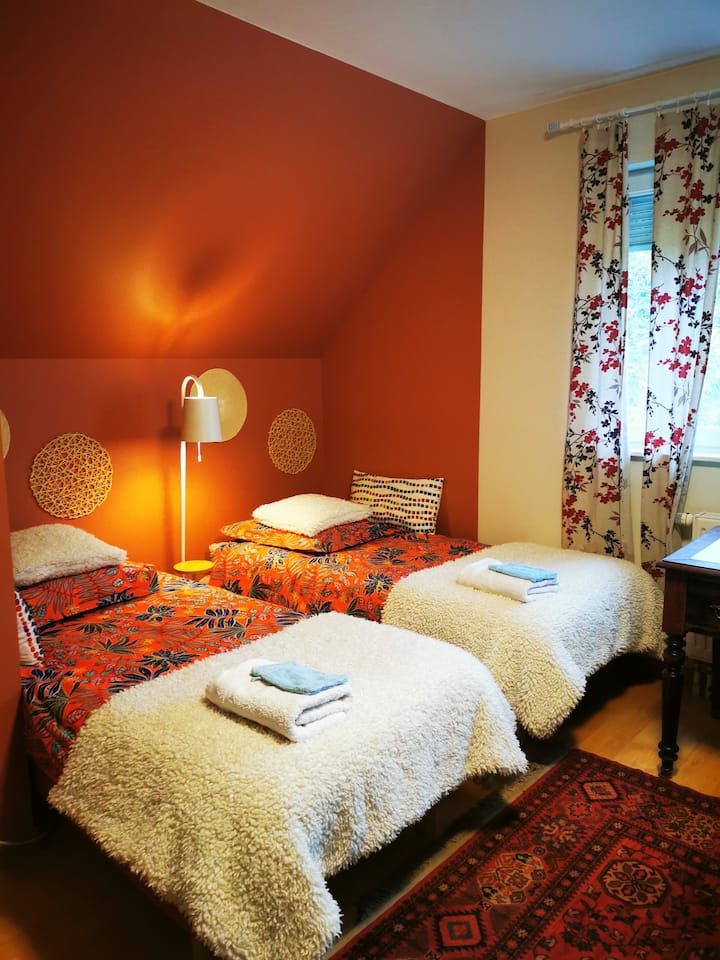 Chambre Spacieuse Près Du Zénith Et Du Chu - Strasbourg