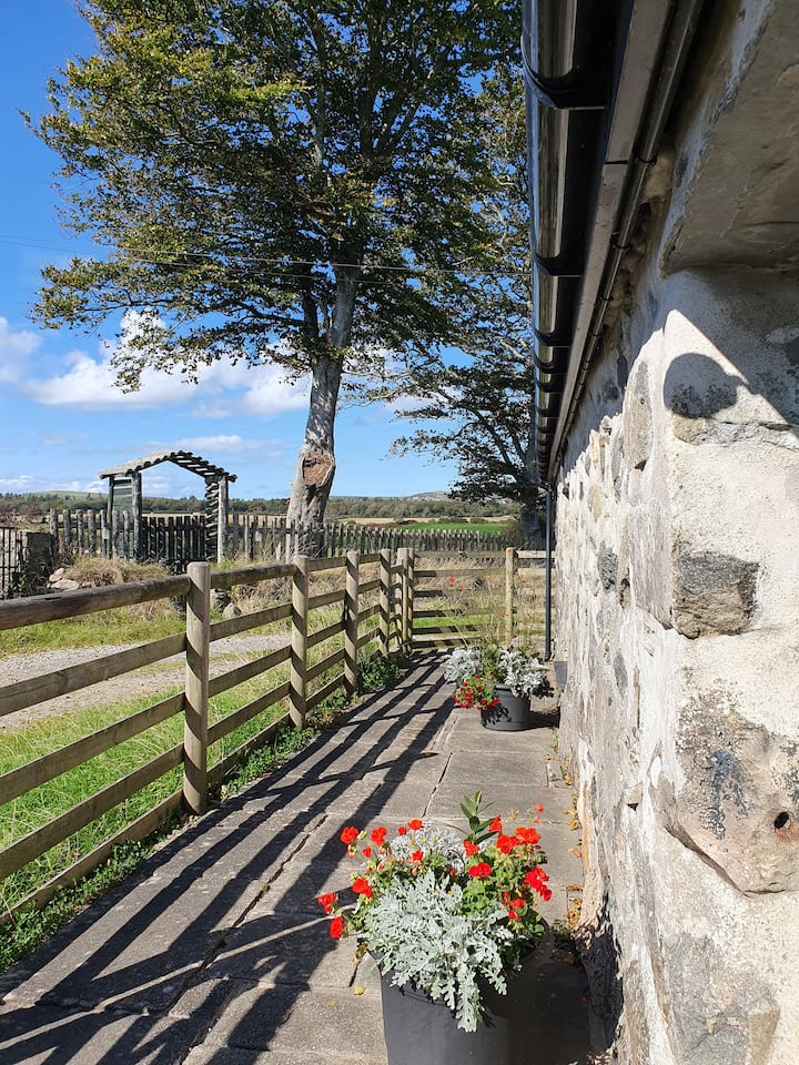 Perfectly Located For Explorations. - Pwllheli