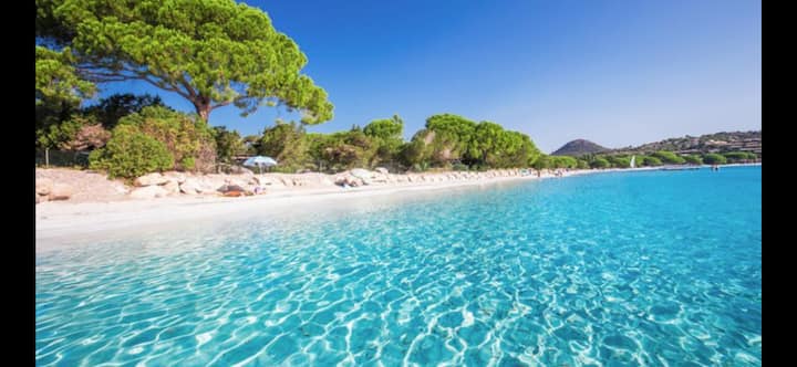 Hébergement 1 à Sainte Lucie De Porto Vecchio - Sainte-Lucie de Porto-Vecchio