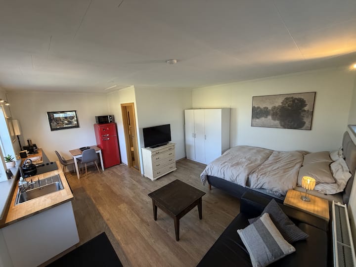 Great Studio Apartment - Islandia