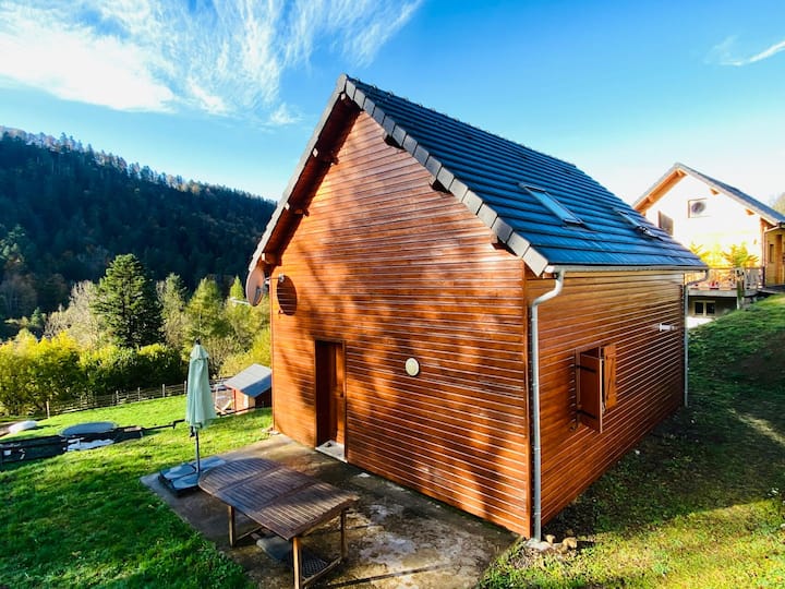 Chalet Cathy - lac chambon 63