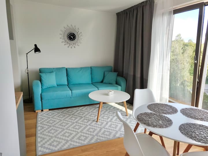 Taltech University Nearby, Self Check-in, Parking - Estland