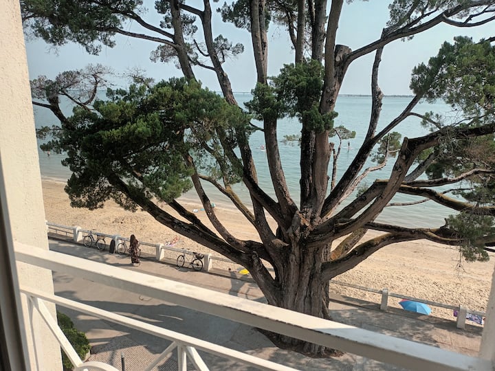 Face à La Mer, Les Pieds Dans L'eau . - Saint-Trojan-les-Bains