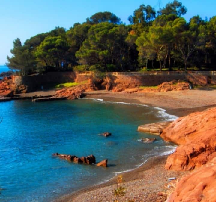 Studio Coup De Cœur - 5 Minutes De La Mer - Fréjus