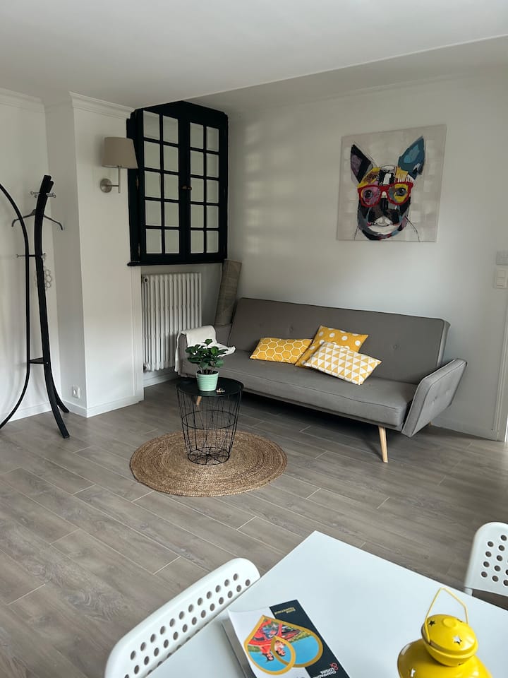Epernay : Chambre Et Salon Privatif Très Spacieux - Épernay