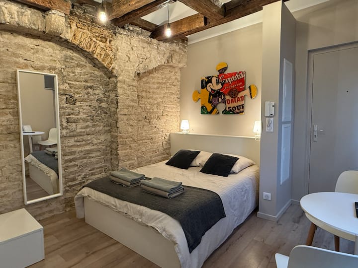 Studio «&nbsp;Charme,  Cœur De Ville, Calme Absolu&nbsp;» N2 - Estrasburgo