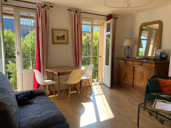 T2 Cosy Lumineux Centre Ville 45m2 - Les