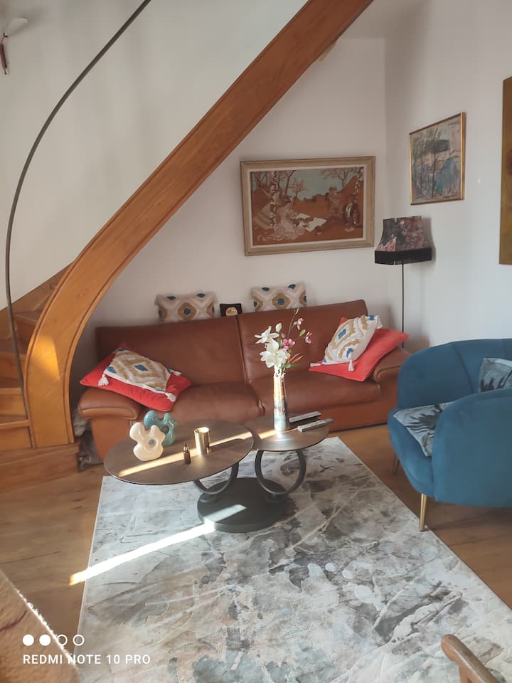 Appartement De Charme Au Coeur D Annecy - Sévrier