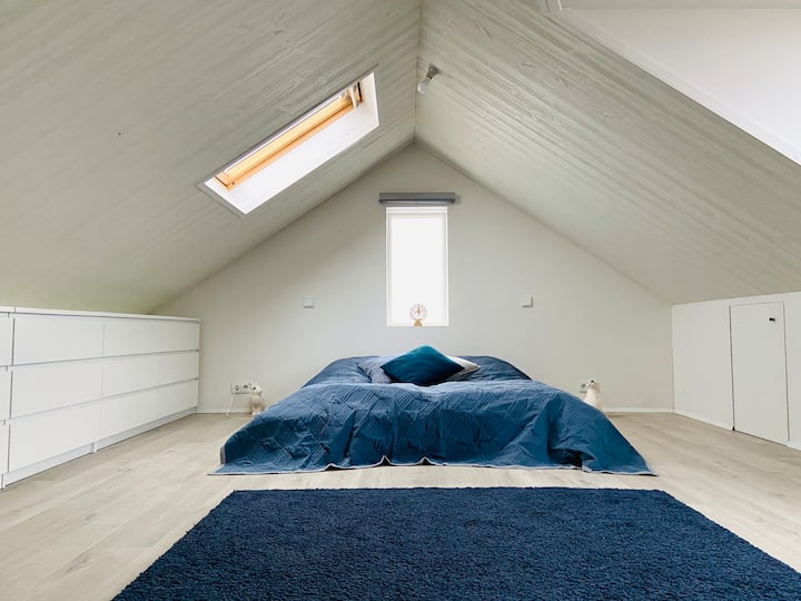 Quiet And Cozy Two-story Downtown Apartment - Reikiavik