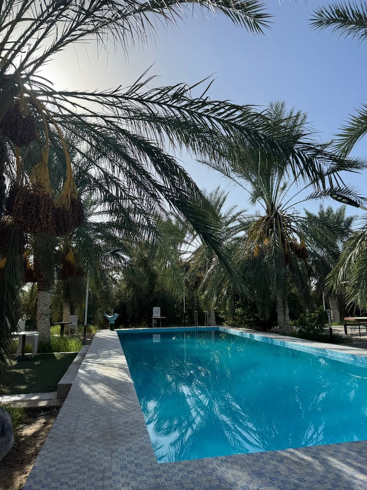 Dar Zaara 
L'hospitalité De Biskra Signée Aïcha - Algérie