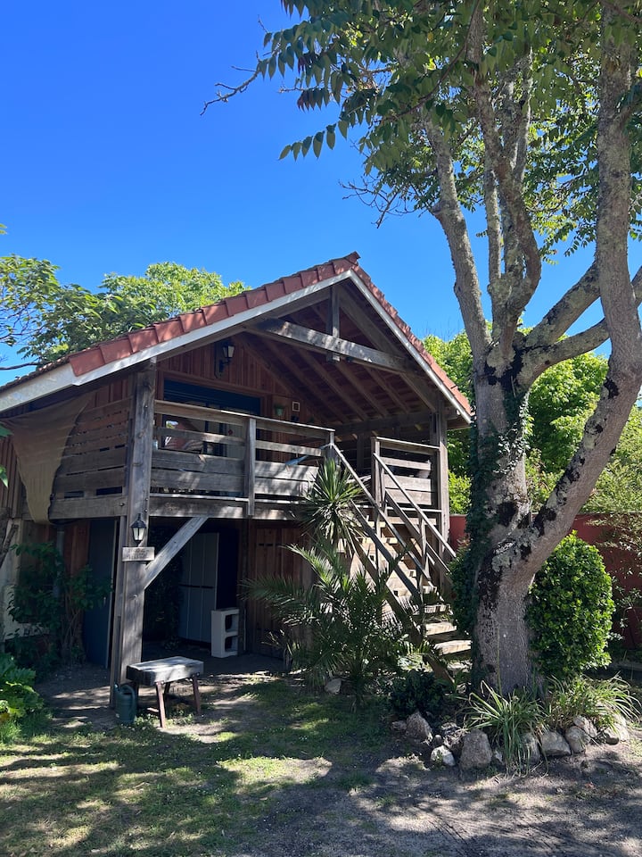 Nid Perché Avec Terrasse Esprit Cabane - 4 Pers - Étang de Lacanau