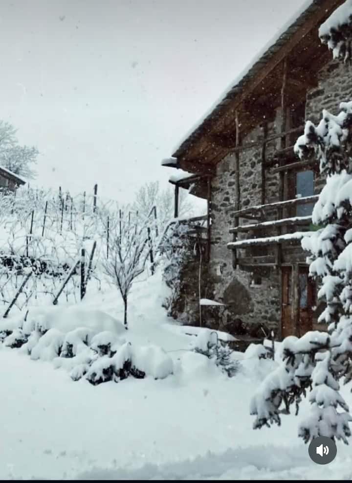 Baita Barn In Organic Vineyard (Chalet Chiavenna) - Chiavenna