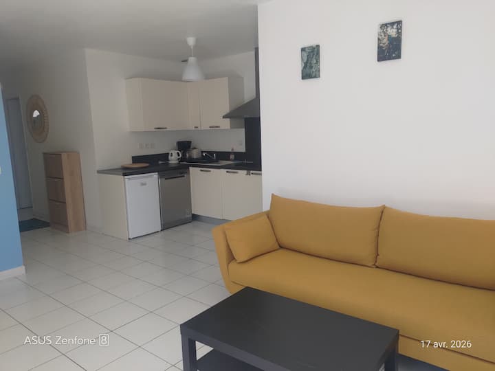 Logement Centre-ville Avec Jardinet 5 Personnes. - Biscarrosse