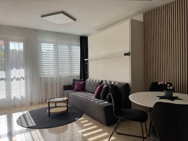 Ascona: Principessa Apt.3 - Losone