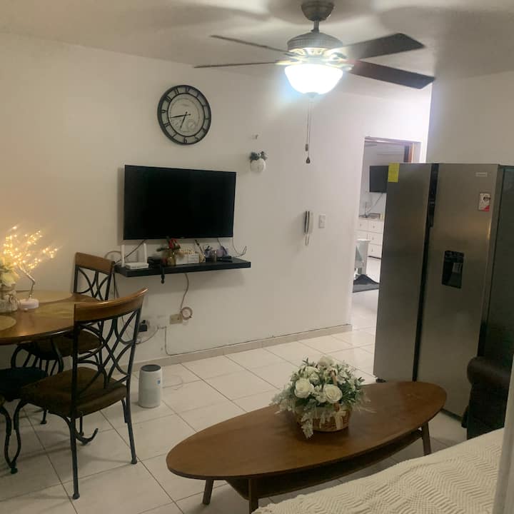 Malecón Santo Domingo Seaview Apt-24/7 Powerbackup - Dominique