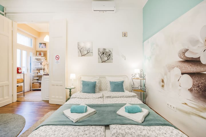 Lizi House Apartman A Város Szívében A/c - Budapest