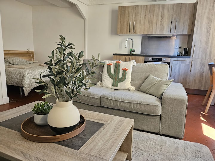 Appartement Rénové Au Calme Vieux-nice - Nice