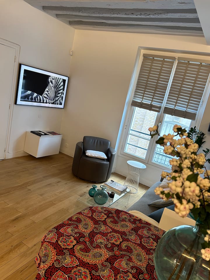 Amazing Apartment In The Heart Of Paris ! - Paris