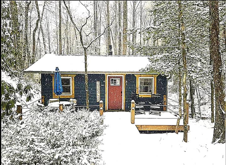 Mystic Moonlight - Sautee Nacoochee, GA