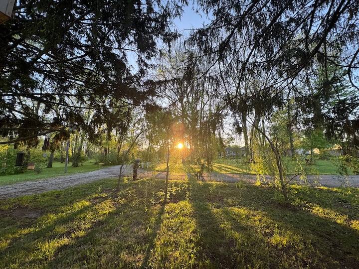 The Forest In The City! - Castleton, IN