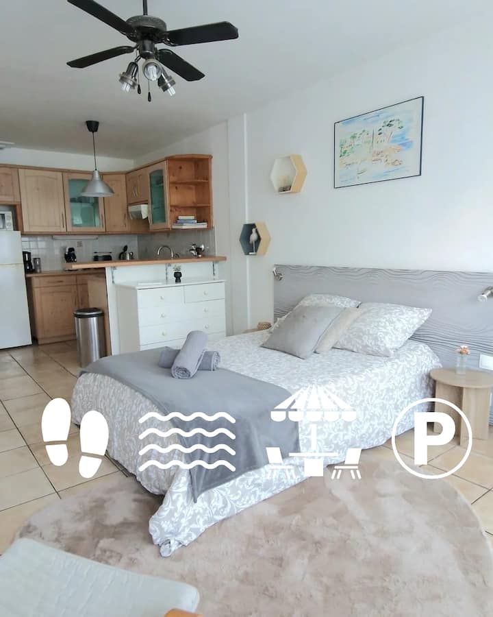 Charmant Studio 2 * - Lac du Bourget