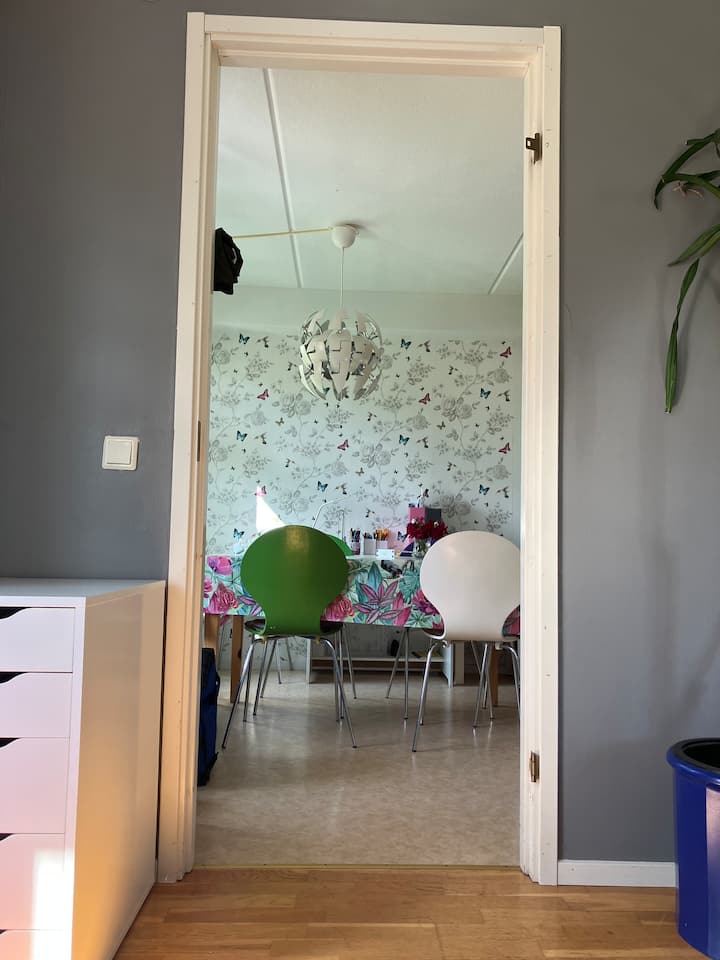 Ljust Rum I Viken - Viken