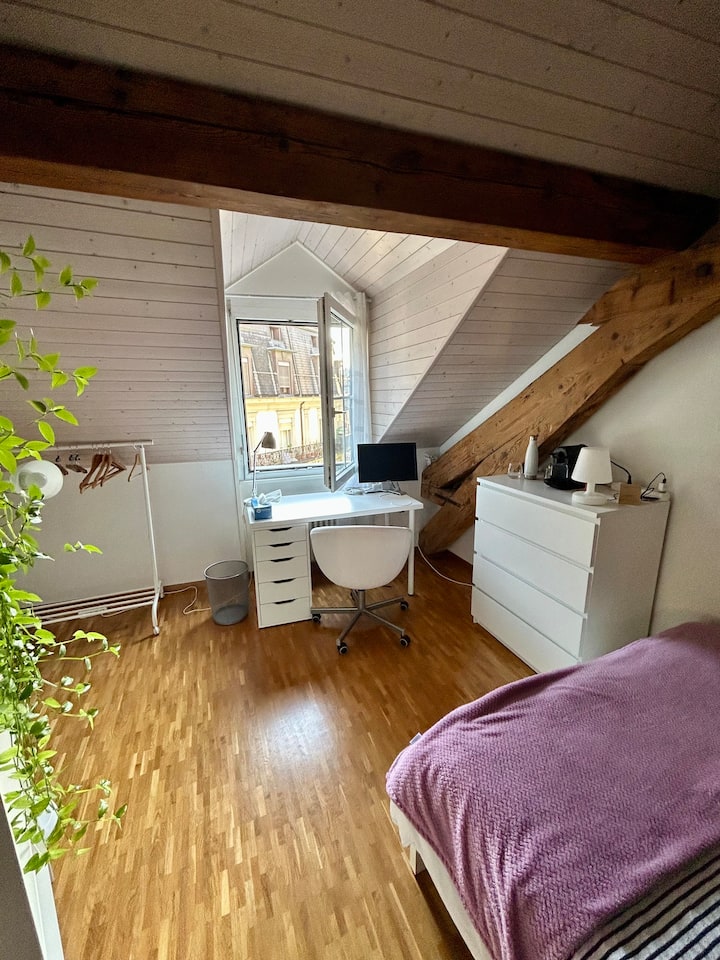 Chambre Privée Au Coeur De Lausanne - Lausanne