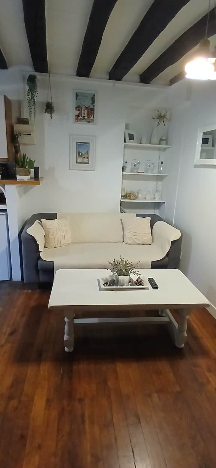 Appartement Deux Pièces Gite De France 1 éToile - Tours