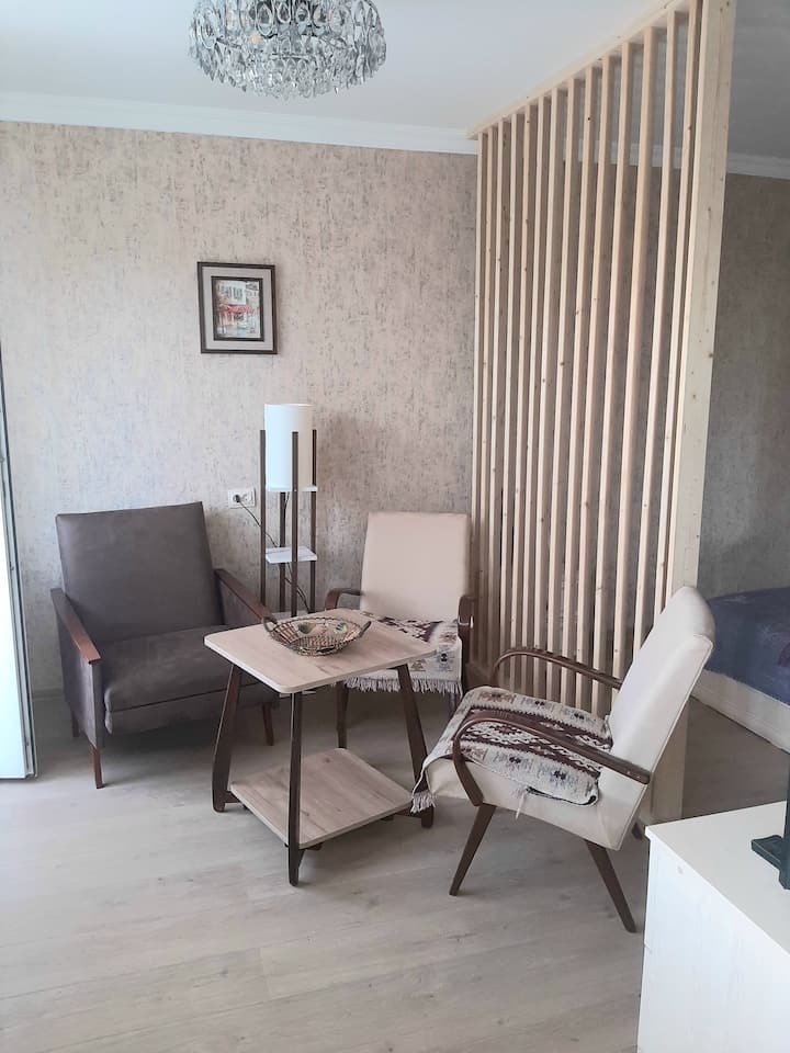 7th Floor Apartment In Tbilisi Centre - Tbilisi