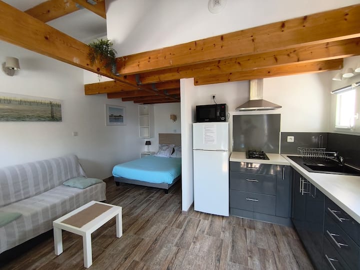 Studio Climatisé Avec Terrasse Bassin D'arcachon - Gujan-Mestras