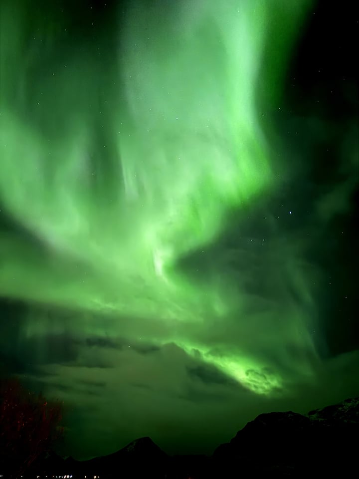 Lofoten, Gravdal - Sentral Leilighet,flott Utsikt! - Moskenes