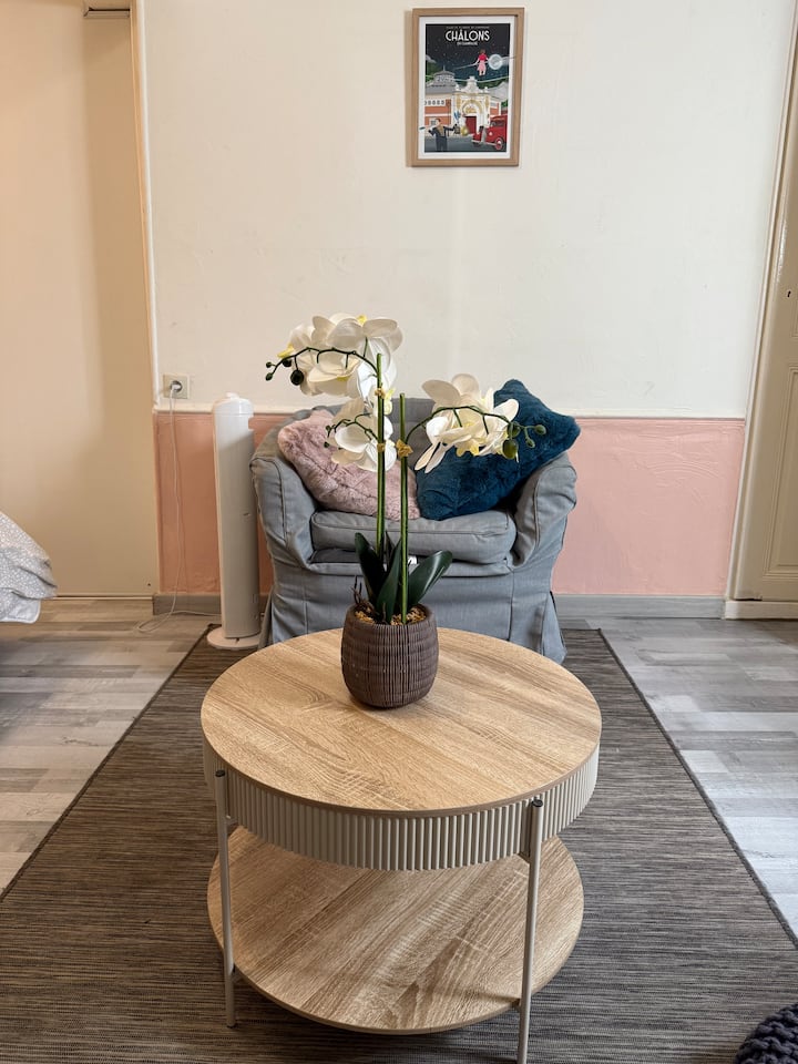 Studio "Le Scandinave" En Plein Cœur De Châlons - Châlons-en-Champagne