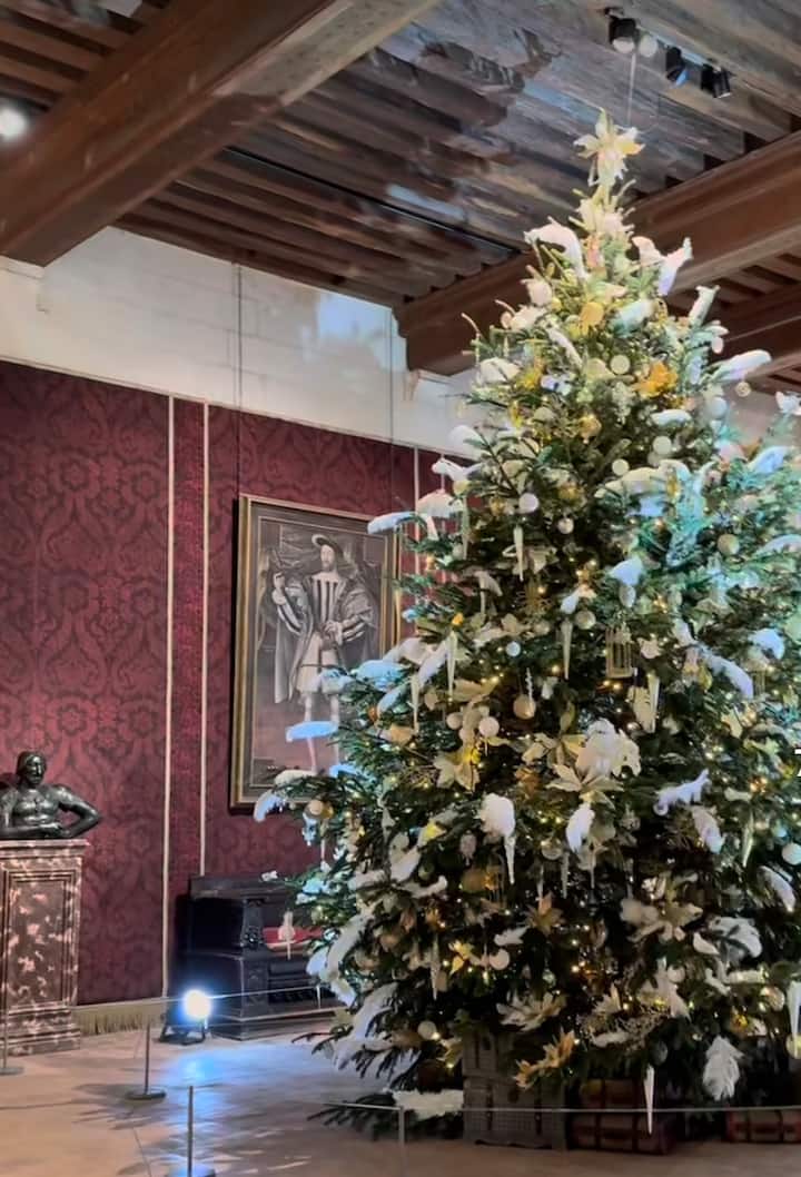 Un Noël Royal Dans Une Belle Maison Restaurée - Loir-et-Cher