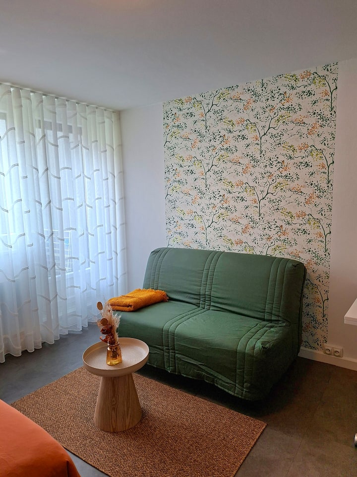 Studio Bonheur - Puy de Sancy