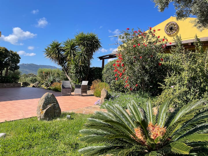 Agriturismo Campesi Monolocale Con Terrazza - Sardaigne