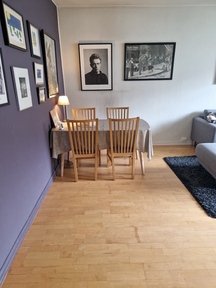 Cosy Apartment, Close To City Center. - Oslo