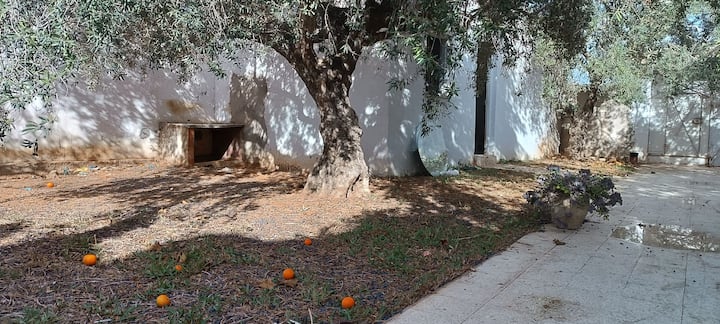 Studio Avec Jardin Partagé - Hammamet
