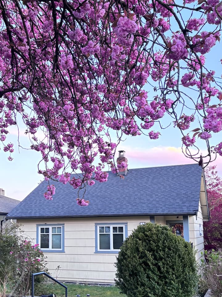 City View-art Gallery Themed Guest Suite Close To Skytrains - Vancouver