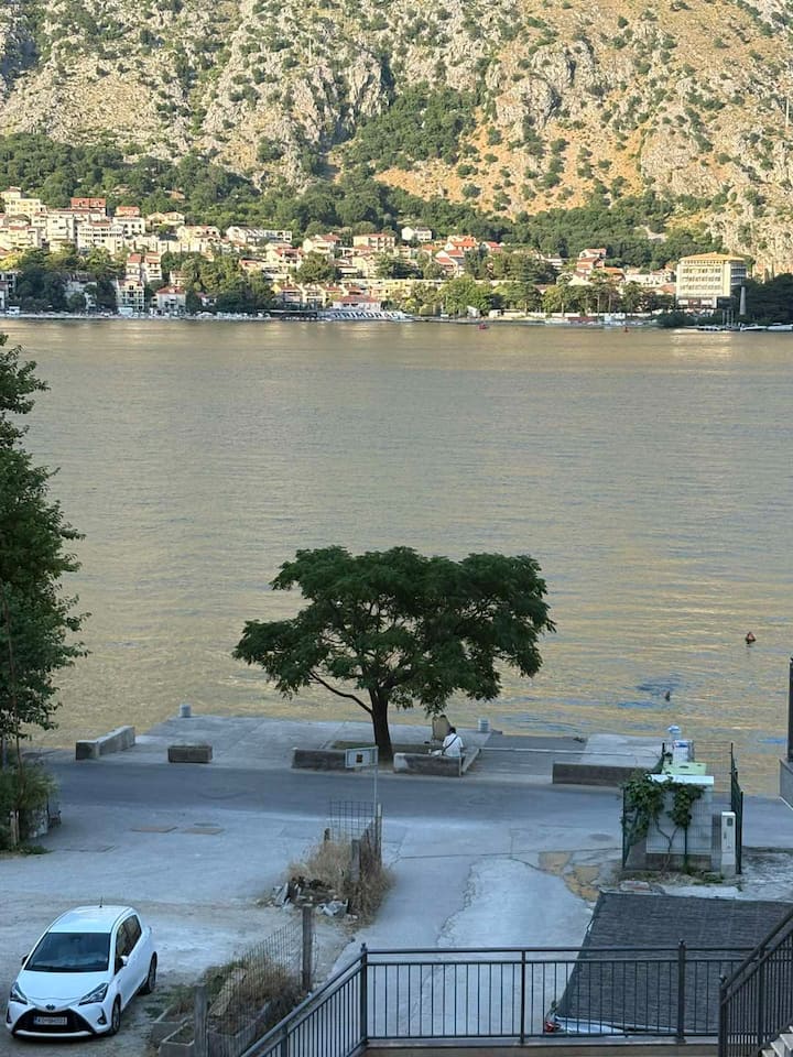 Apartmani Milicevic  2 - Kotor
