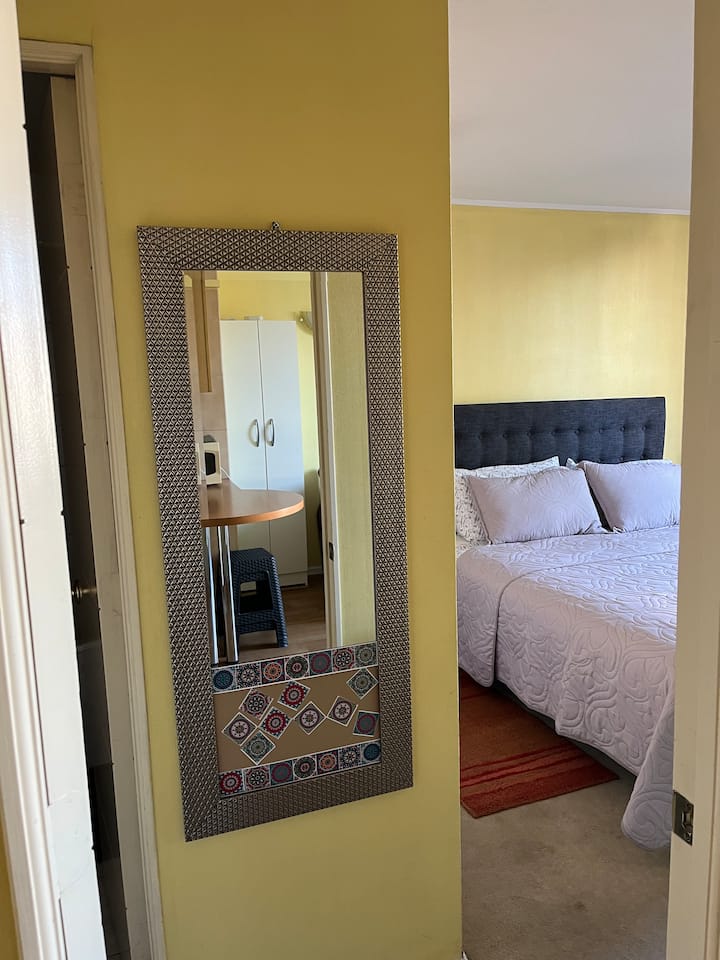 Departamento Amoblado Y Luminoso. - Santiago (Chile)