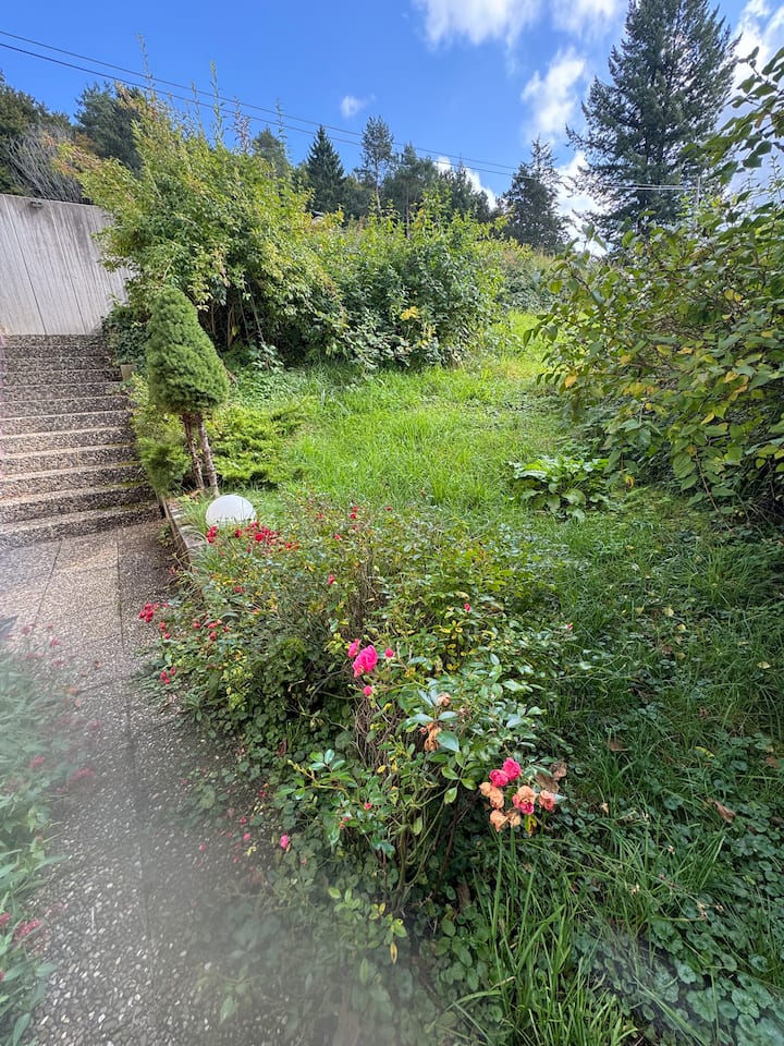 Alb Panorama Residenz - Bad Urach