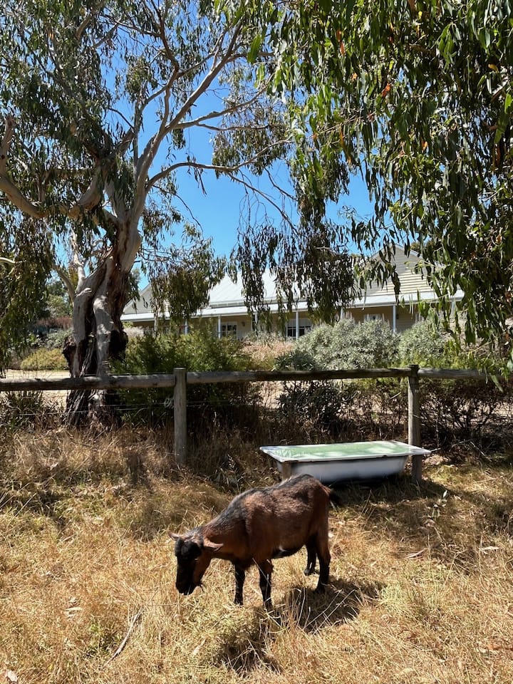 Burrendah House
Mornington Peninsula - Frankston
