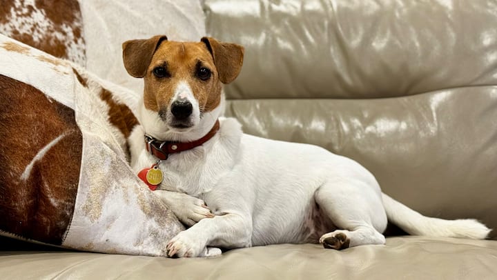 Dusky Retreat - Te Anau