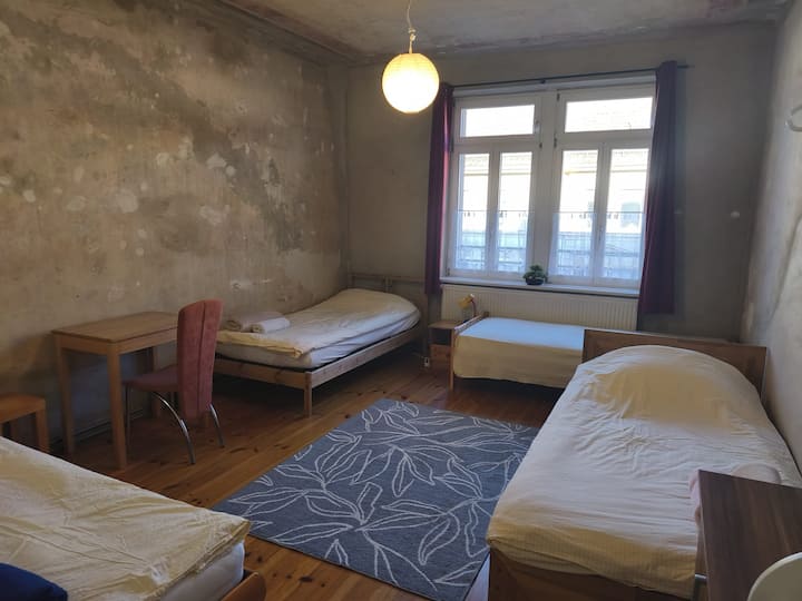 Grosses Privatzimmer Mit Altbau-charme - Leipzig