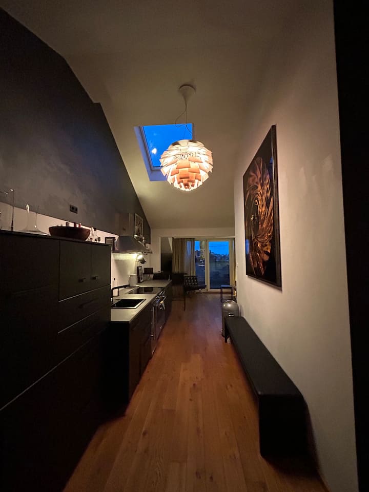 Luxe Penthouse & Rooftop In Gärtnerplatz Quarter - Munich